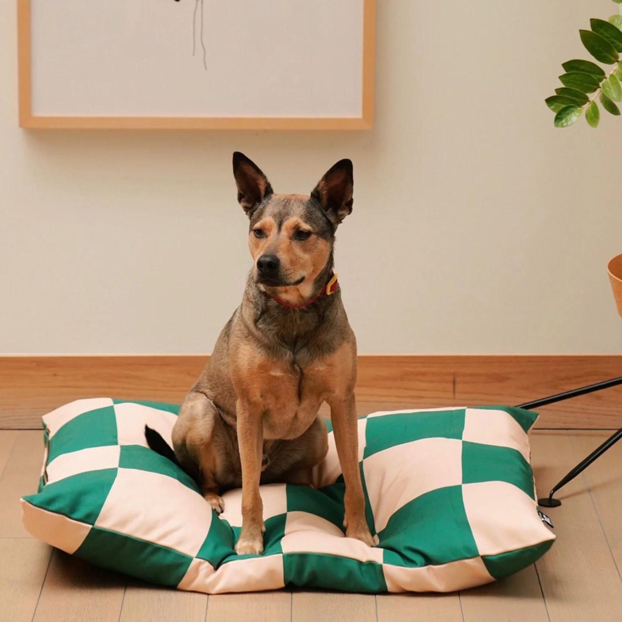 The Fritz Bed | Valley Variety