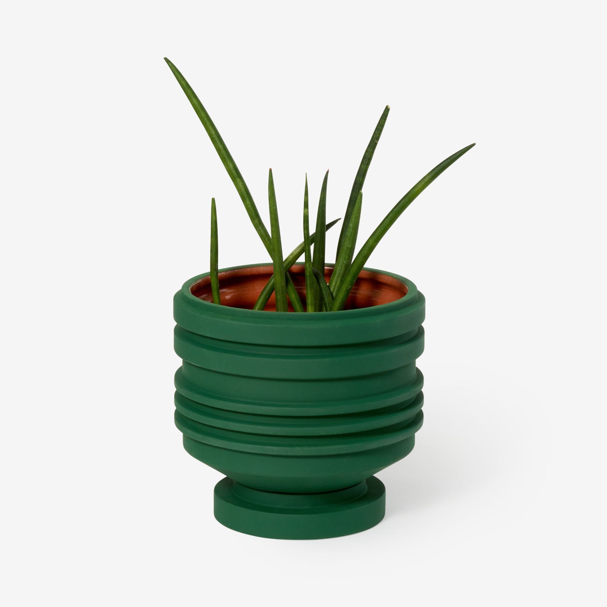 Strata Plant Vessel, Green | Valley Variety